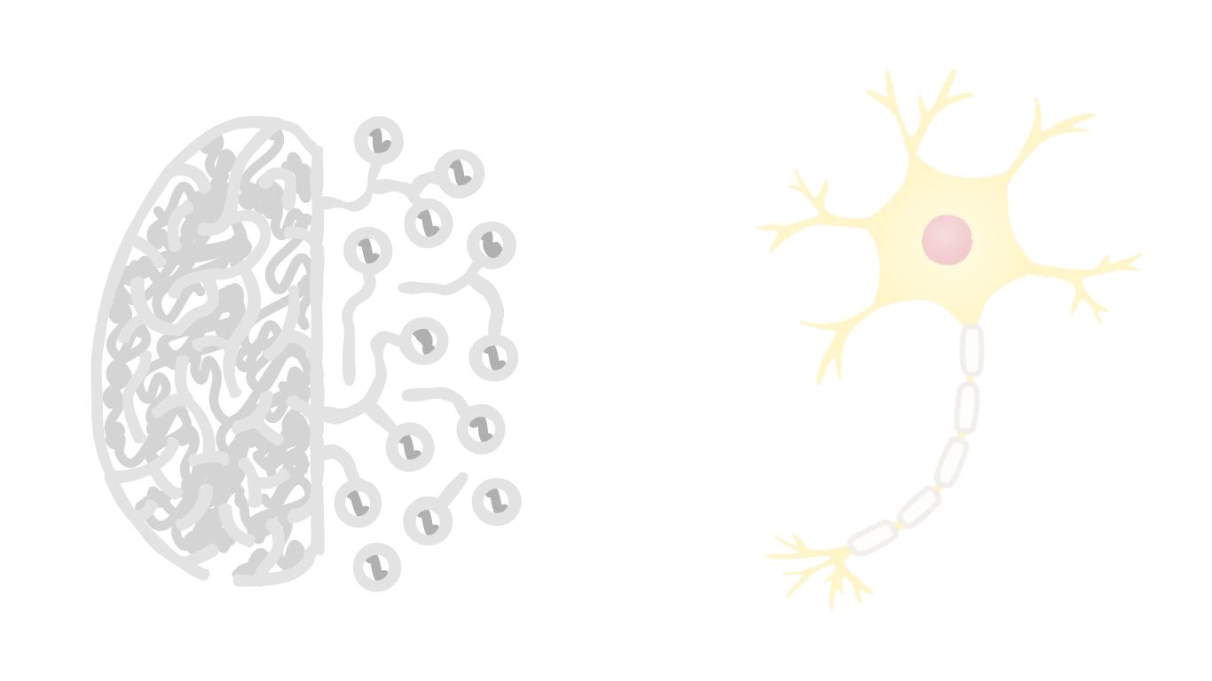 Jitender Kumar | Portfolio