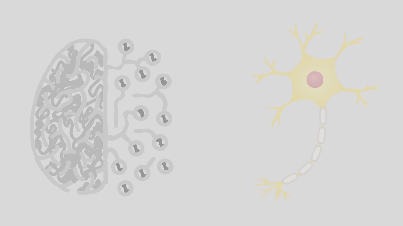 Jitender Kumar | Portfolio